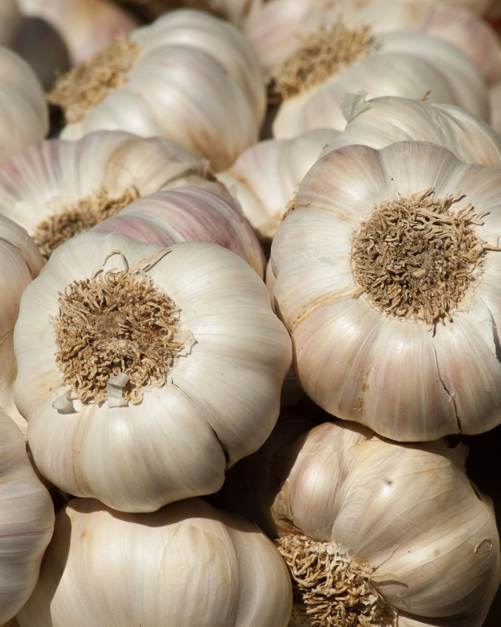 AIL | Les Vergers de Saint Jean