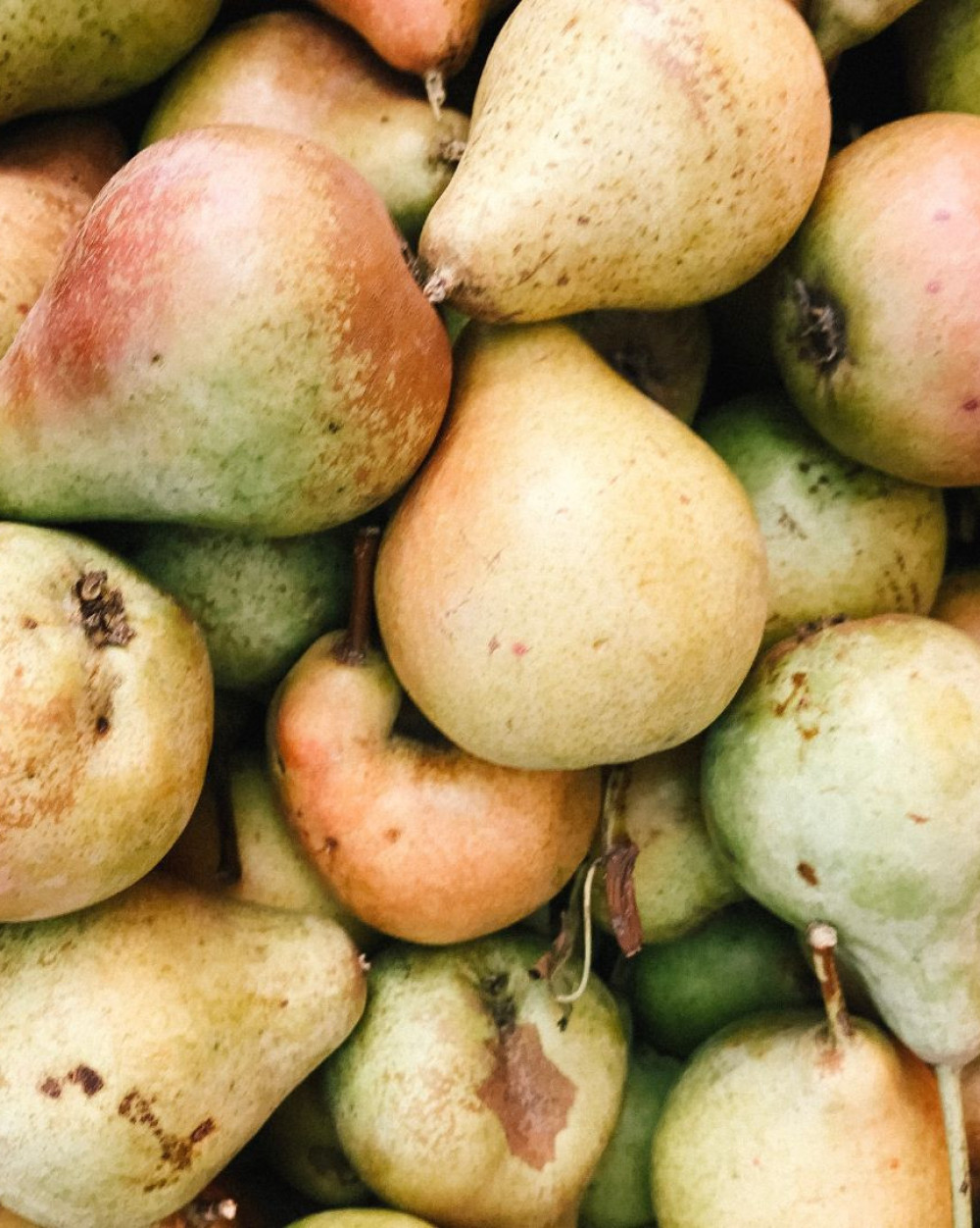 POIRE France | Les Vergers de Saint Jean