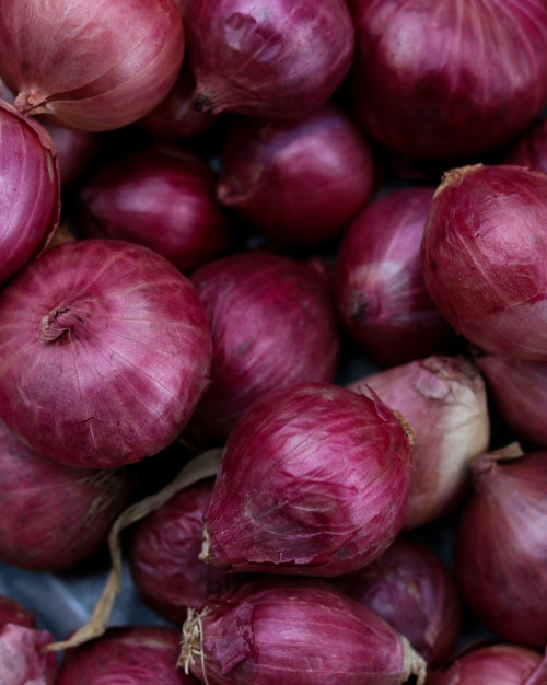 FRUITS ET LEGUMES | Les Vergers de Saint Jean